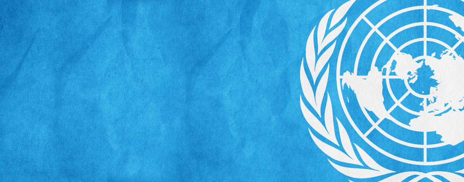 About The UN Vetoes Initiative